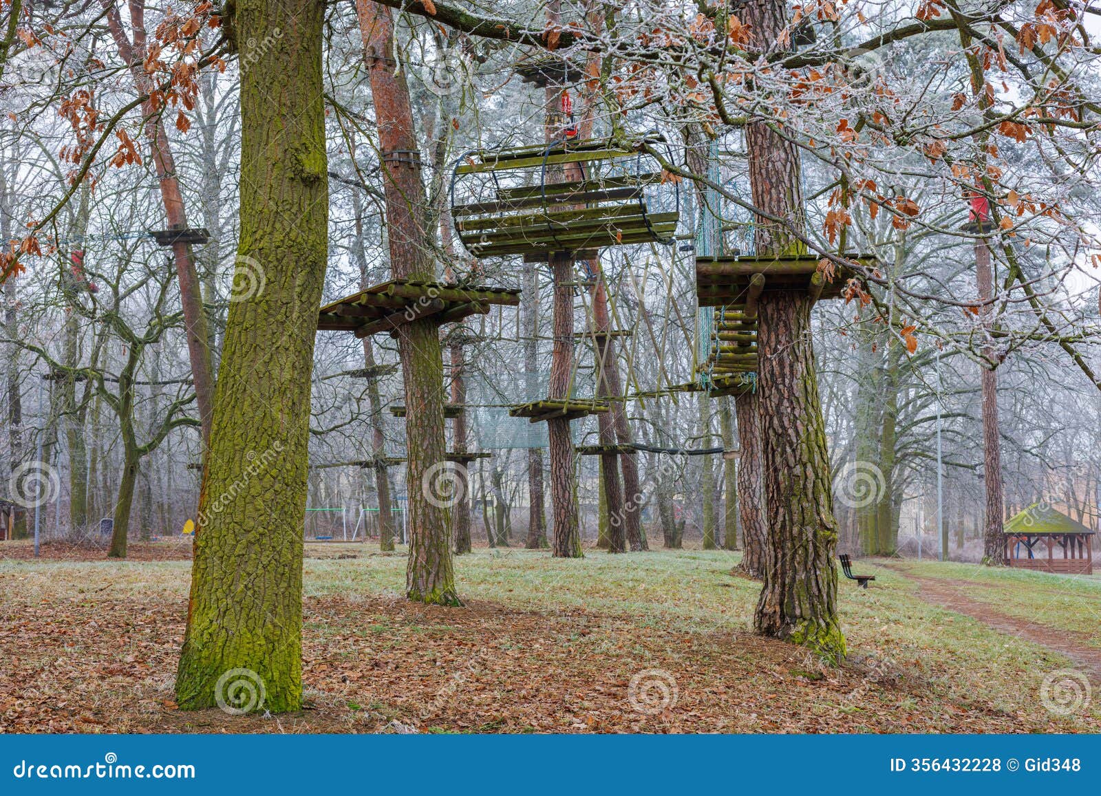Platforms in the Trees Above the Ground with Various Obstacles in the ...
