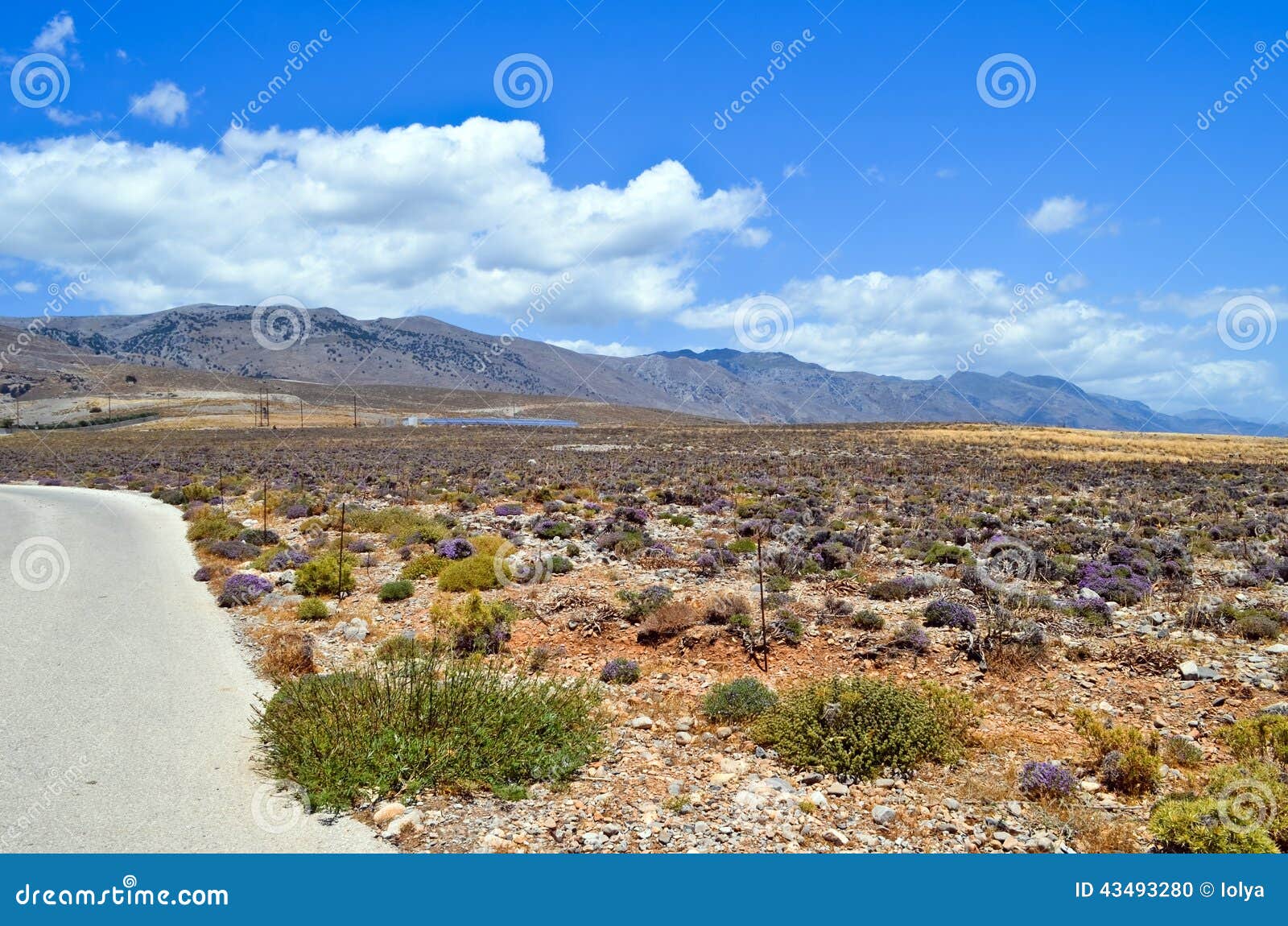 Plato stock photo. Image of cruise, amazing, famous, landscape - 43493280