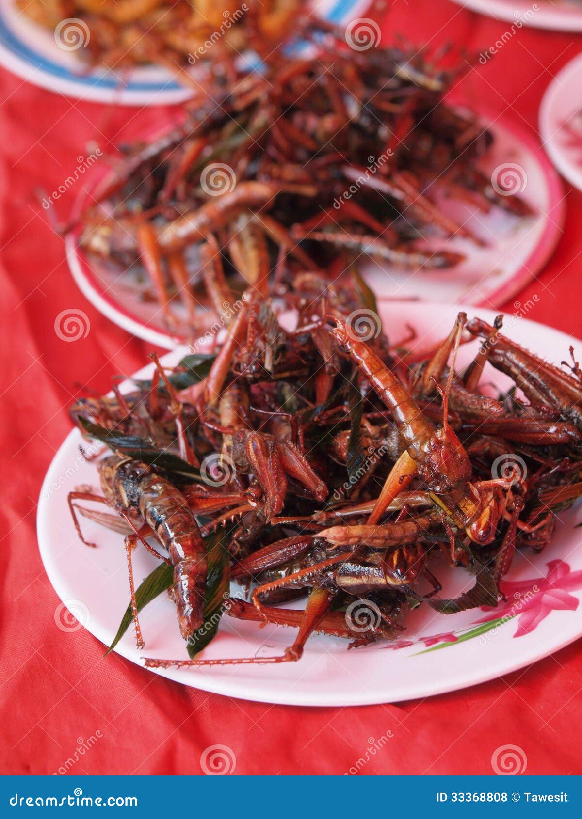 Plato de insectos fritos foto de archivo. Imagen de placa - 33368808