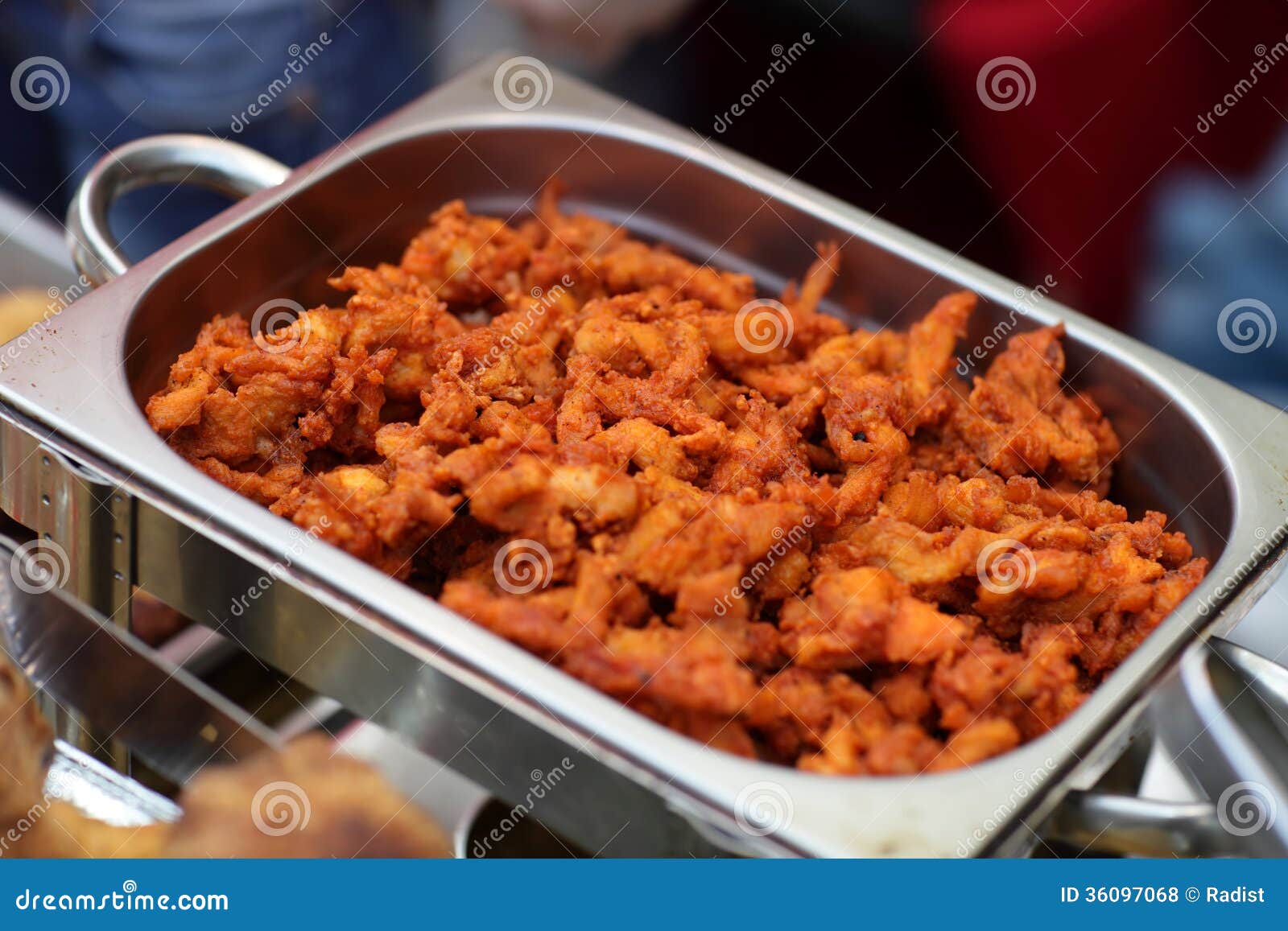 Plato de pollo indio foto de archivo. Imagen de coriandro - 36097068