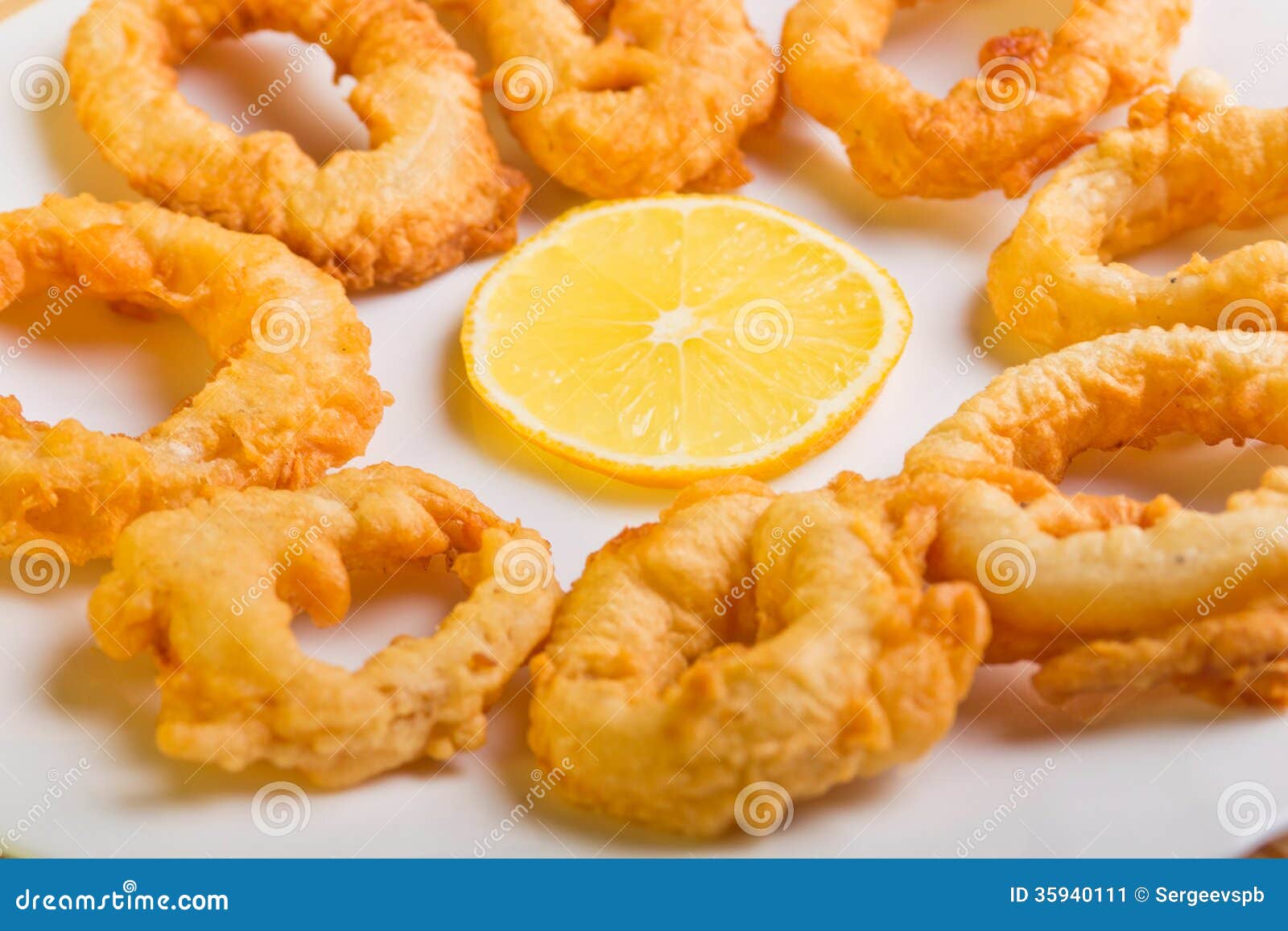 Plato del calamar imagen de archivo. Imagen de aceitoso - 35940111