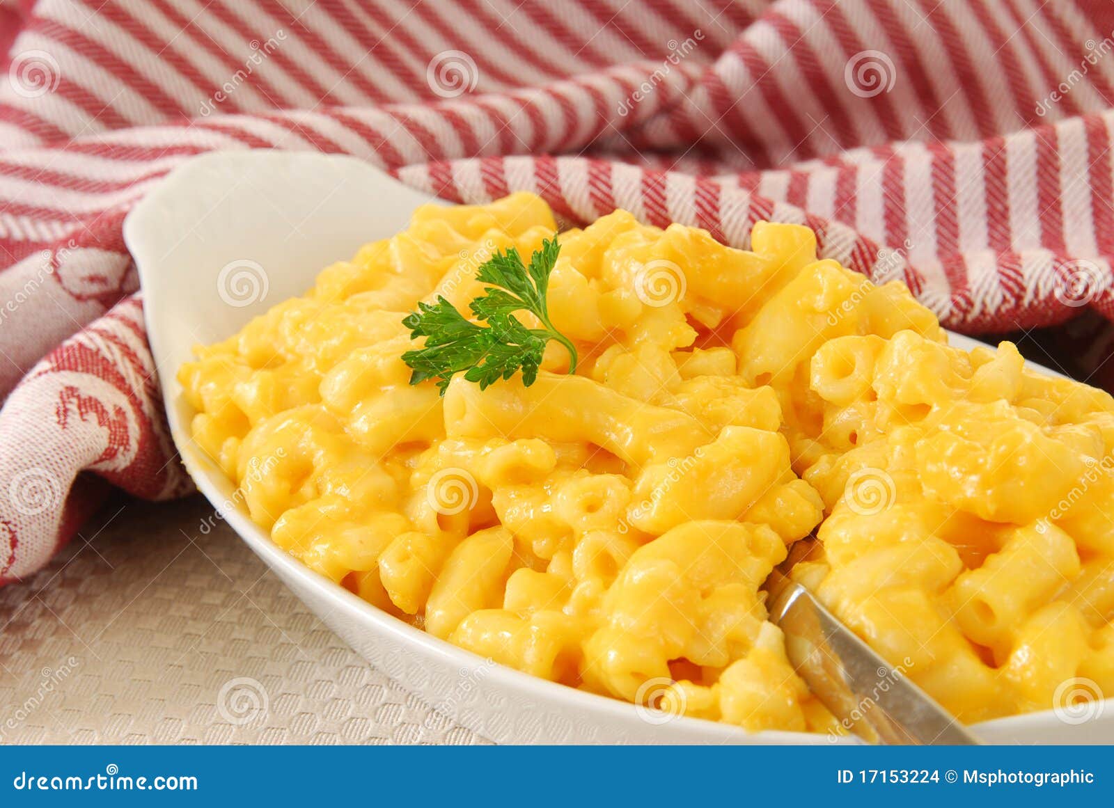 Platter of Macaroni and Cheese Stock Photo - Image of pasta, lunch ...