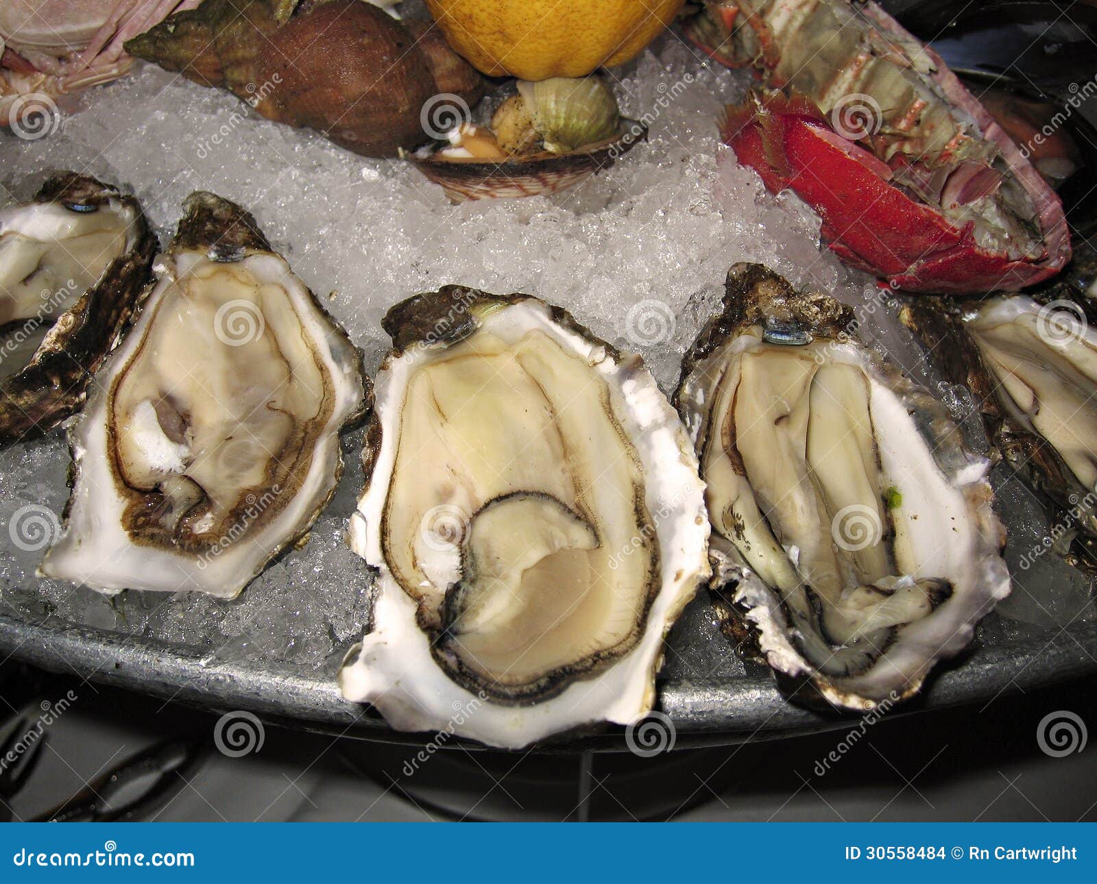 Platter of Oysters and Shellfish on Ice Stock Photo - Image of lobster ...