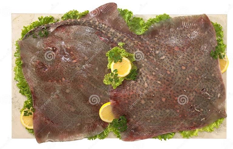 Platvissen stock foto. Image of zeevruchten, voedsel - 28353658