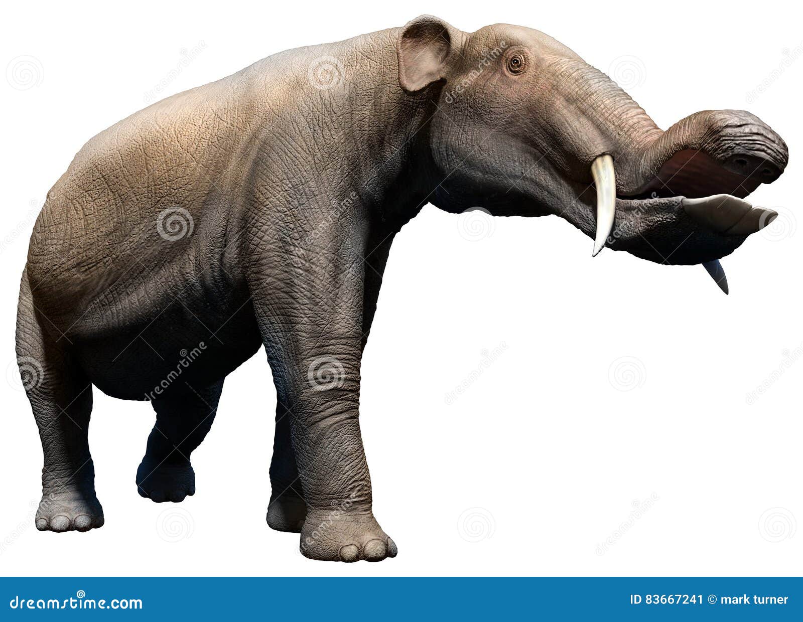 Platybelodon Elephant Dinosaur Ancient Vector Illustration Transparent ...
