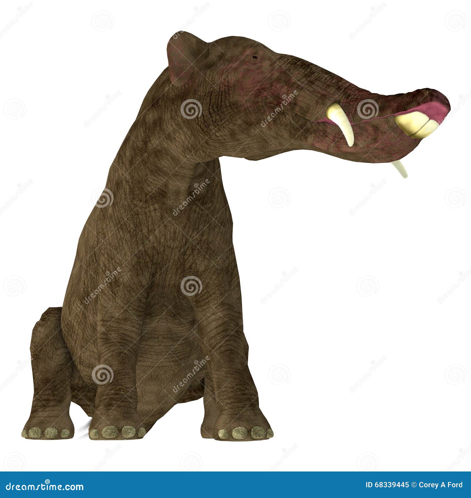 Platybelodon su bianco illustrazione di stock. Illustrazione di ...
