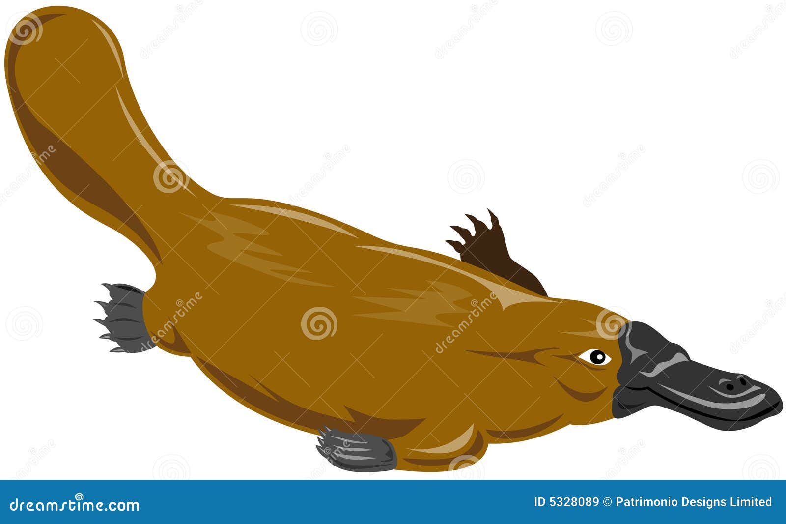 Monotreme Cartoons, Illustrations & Vector Stock Images - 77 Pictures ...