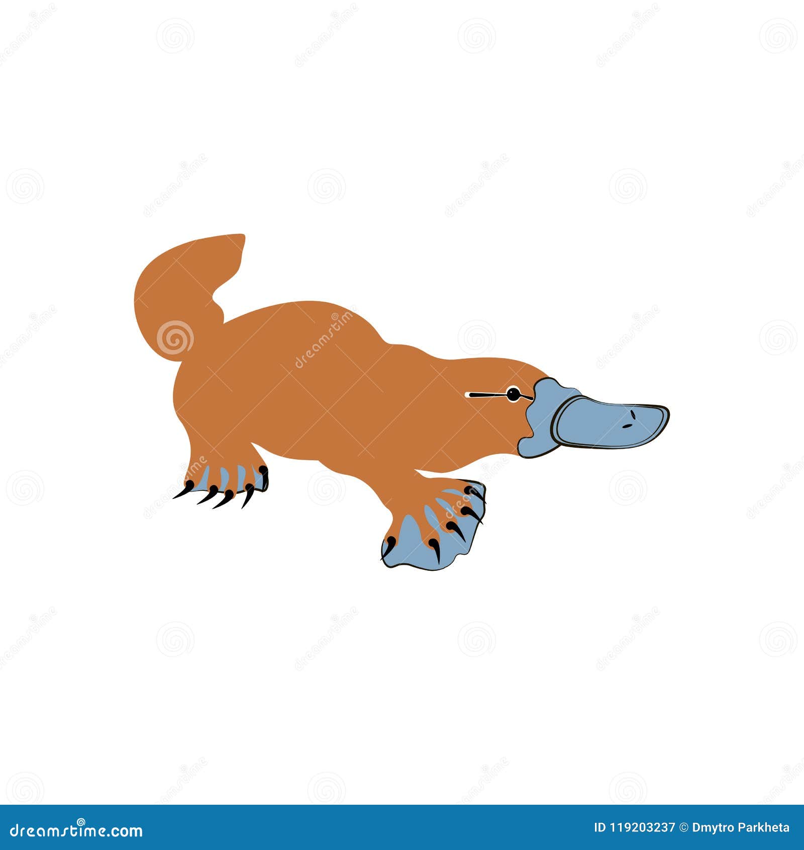 Platypus Illustration Duckbill Character Cartoon Platypus Vector ...