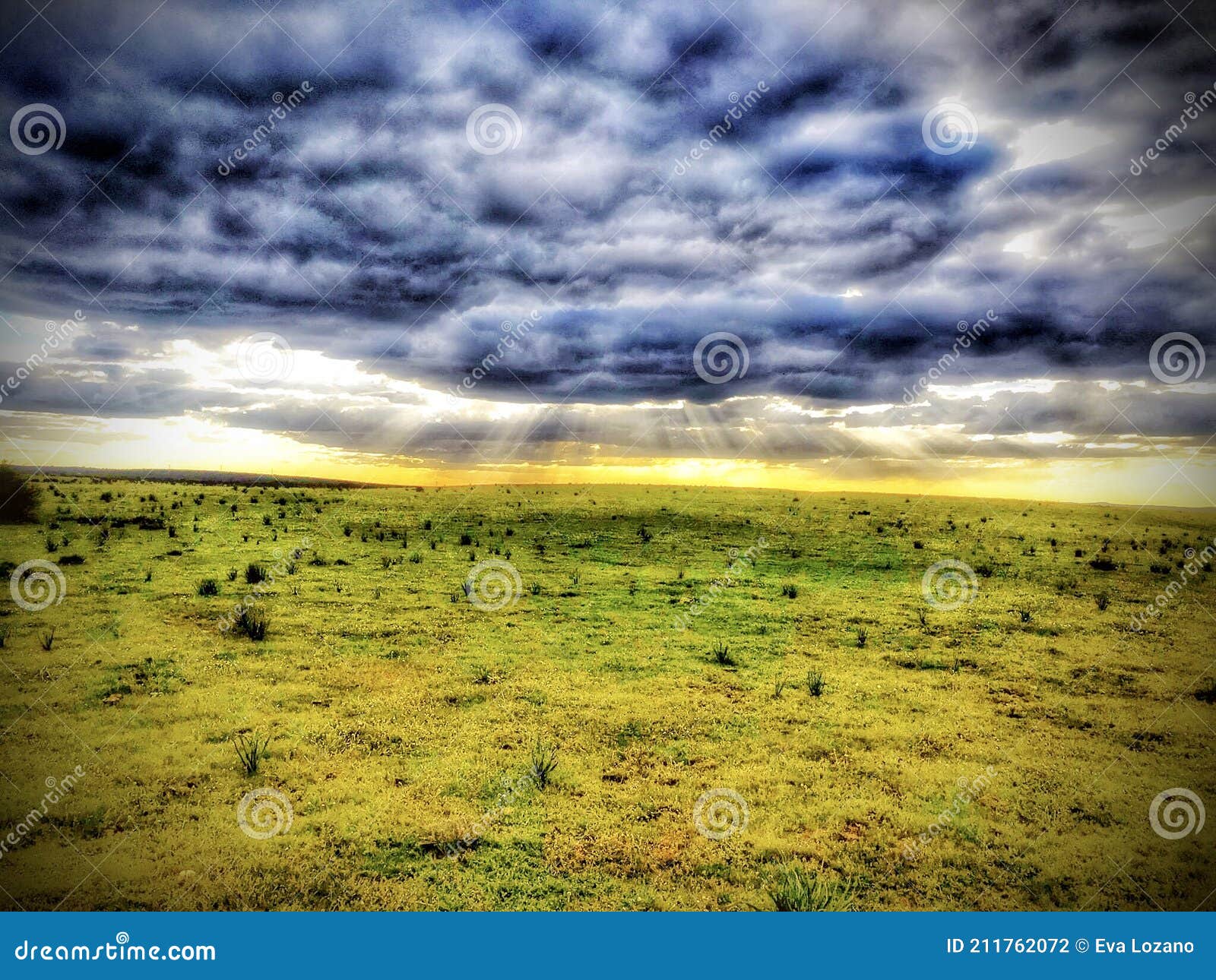 78,252 Landscape Contrast Stock Photos - Free & Royalty-Free Stock ...