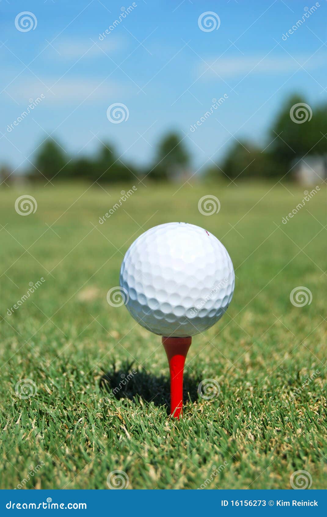 Play Golf stock image. Image of sport, round, play, golf - 16156273