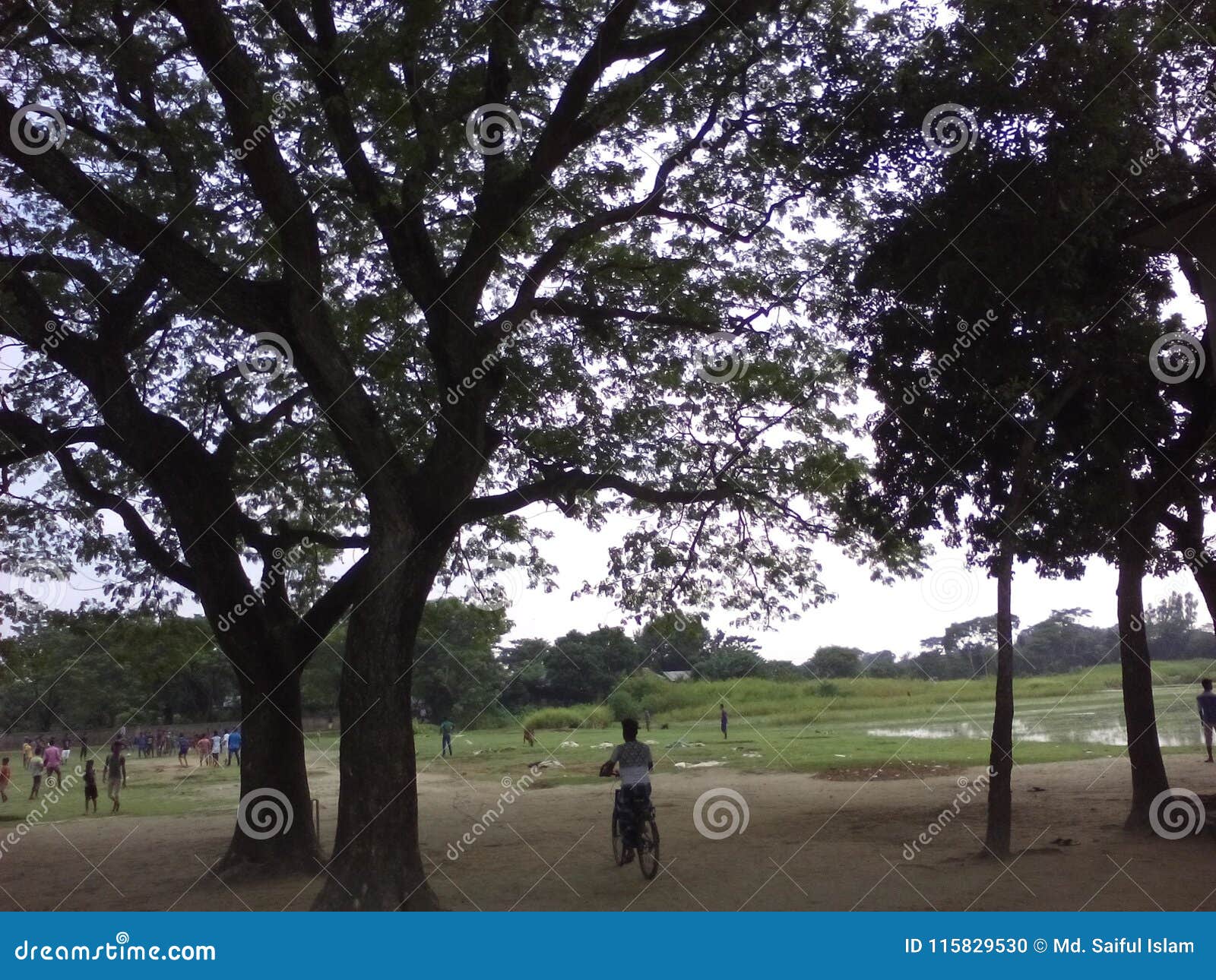 Play ground stock photo. Image of village, tree, children - 115829530