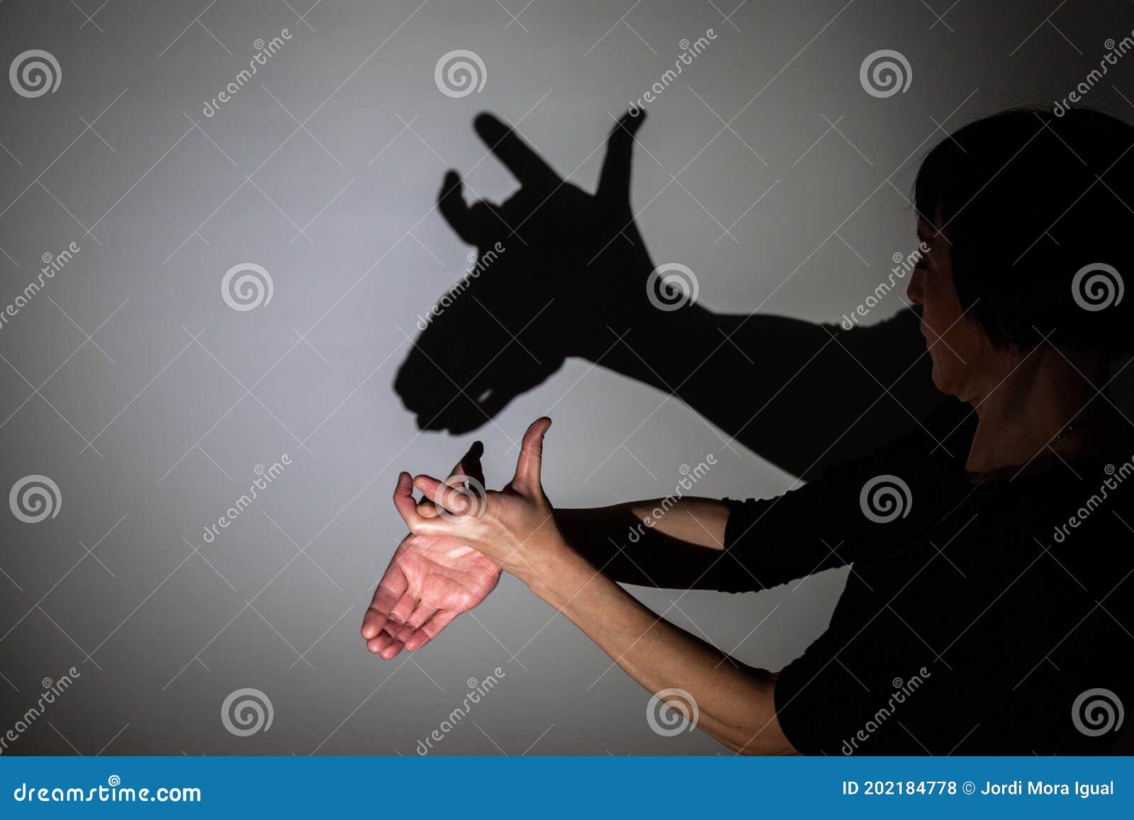 Play Shadow Projected Against a White Background, Rudolph Reindeer ...