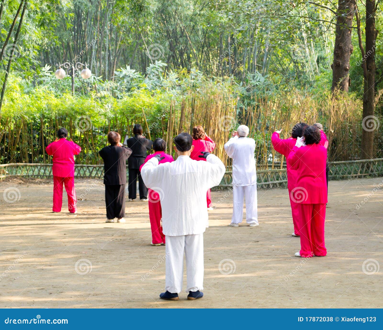 Play TaiJi editorial stock photo. Image of exercise, chinese - 17872038