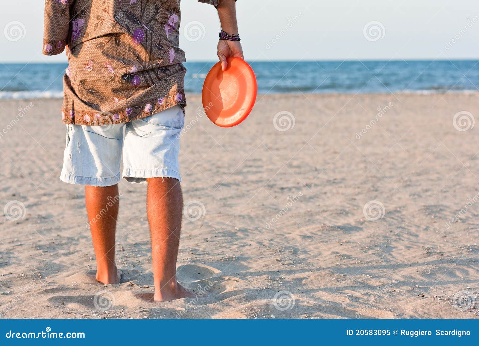 Play To Frisbee on the Beach in Summer Stock Image - Image of motion ...