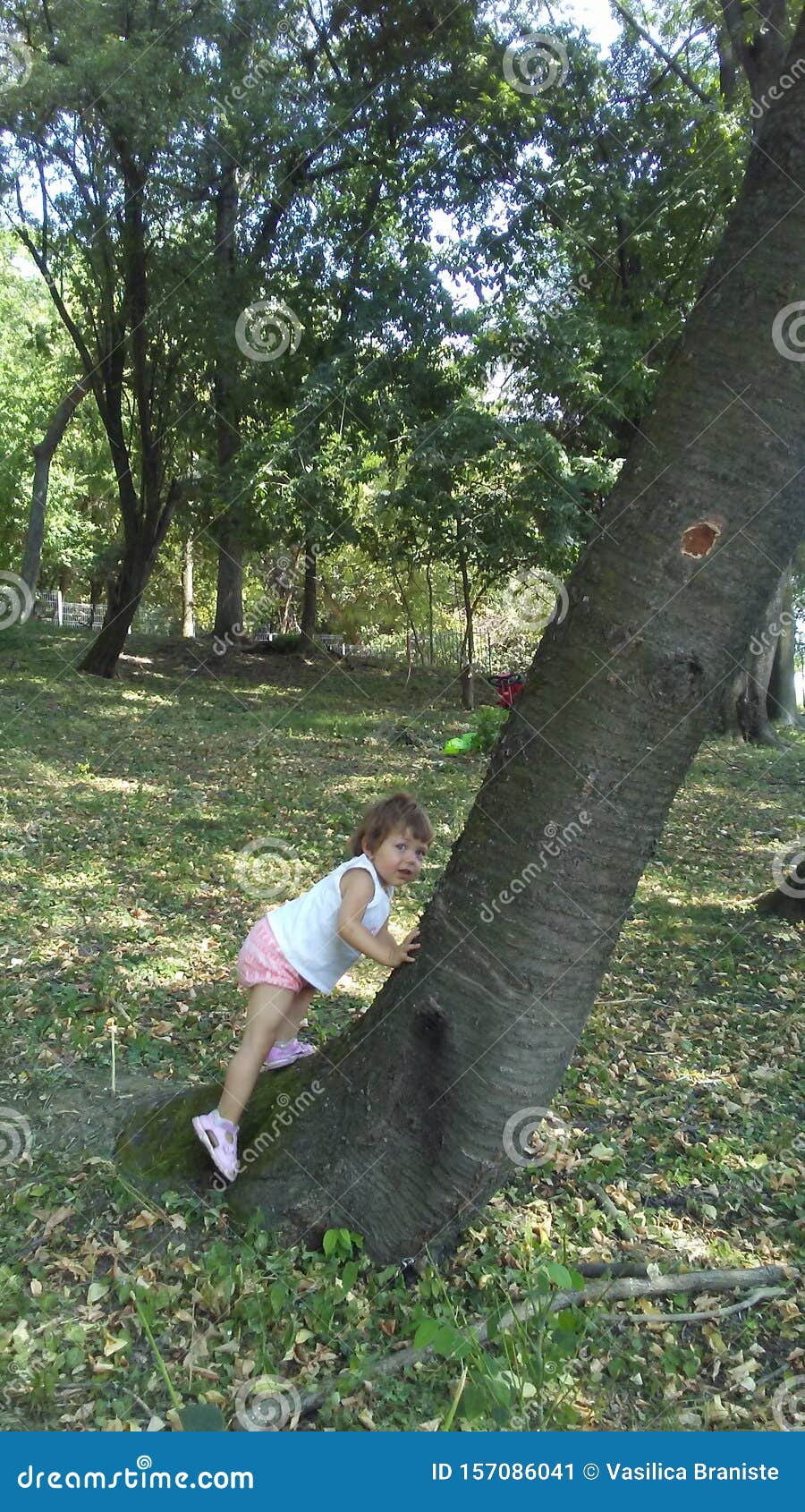Play through the trees stock image. Image of childhood - 157086041