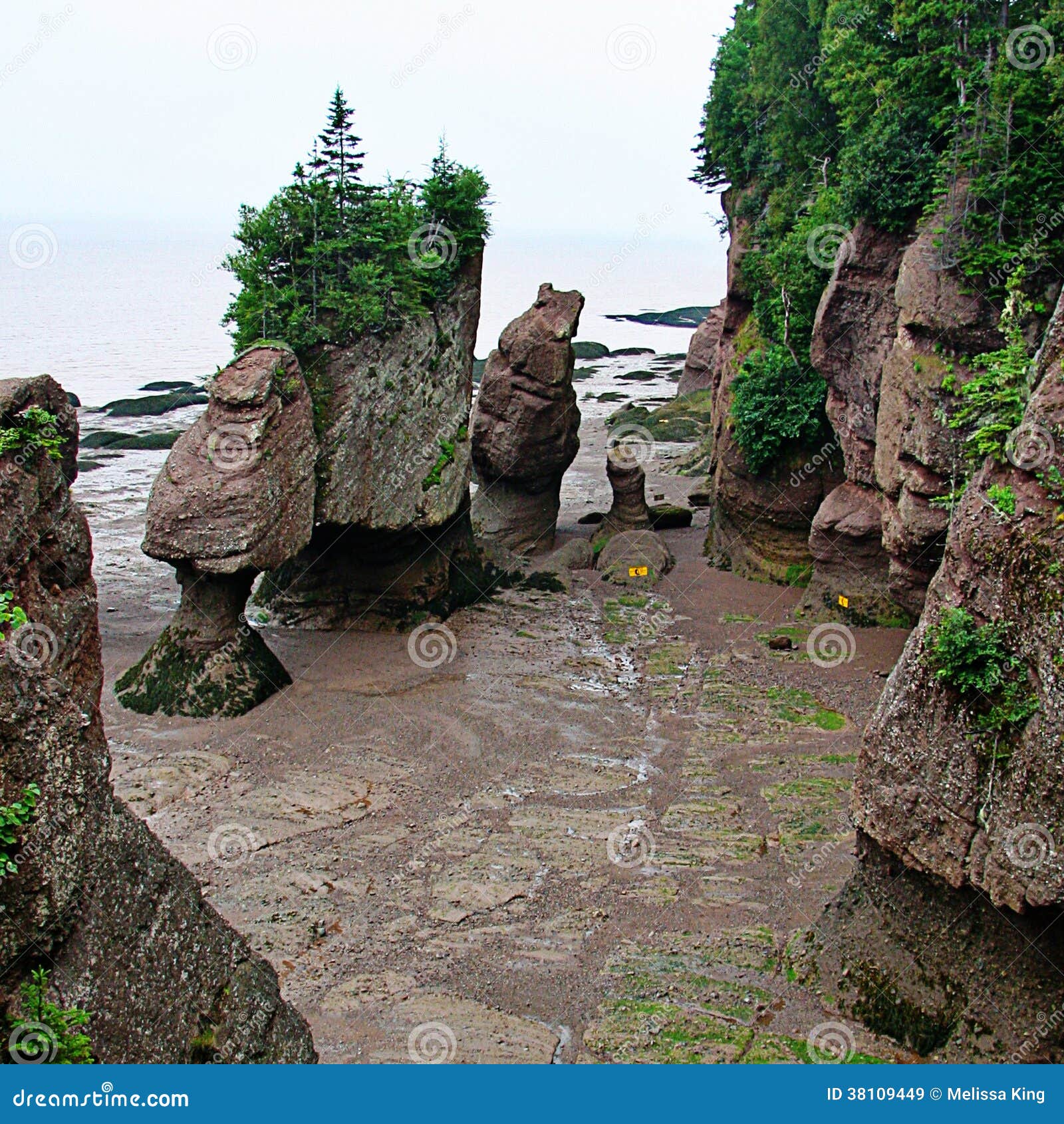 Playa Arenosa Hermosa Con Las Rocas Imagen de archivo - Imagen de cielo ...