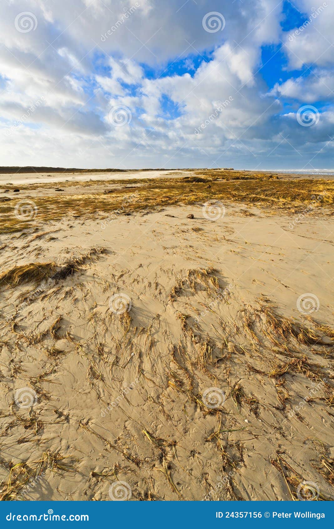 Playa Con Las Dunas De Arena Foto de archivo - Imagen de resaca, isla ...