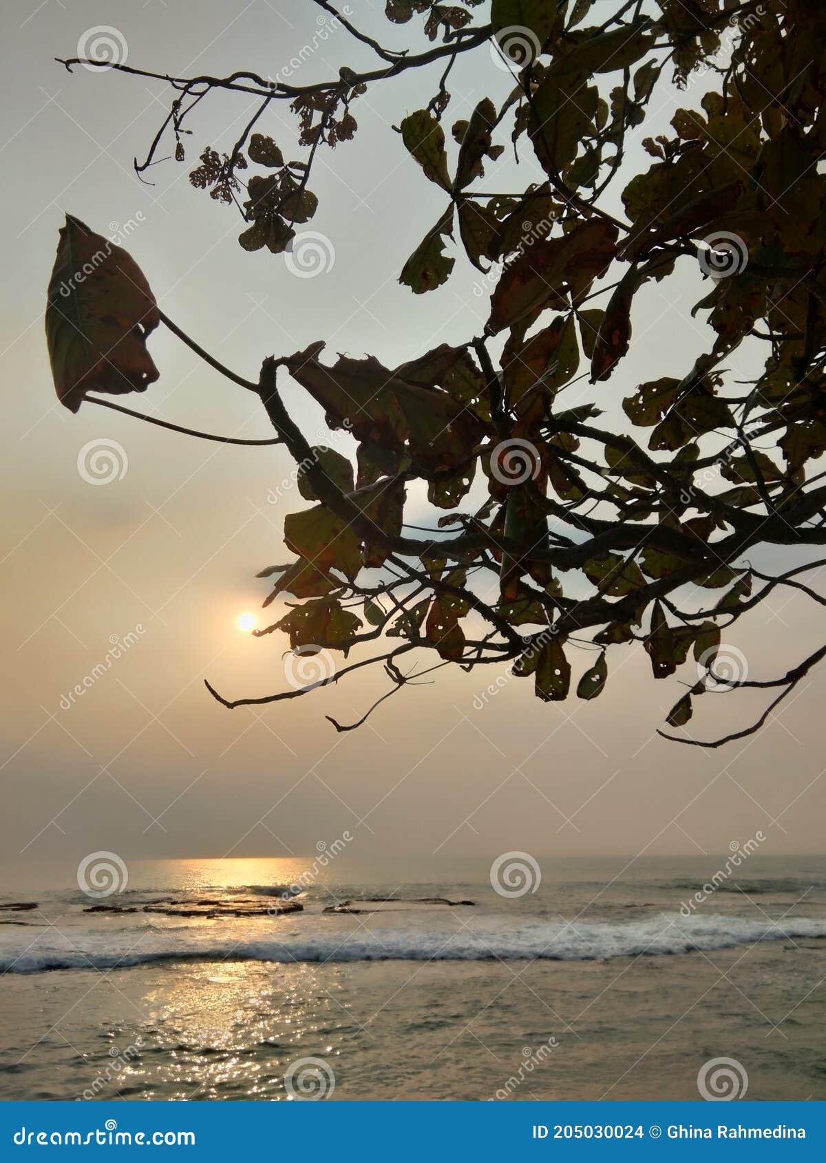 Playa con sol foto de archivo. Imagen de sunlight, sunset - 205030024