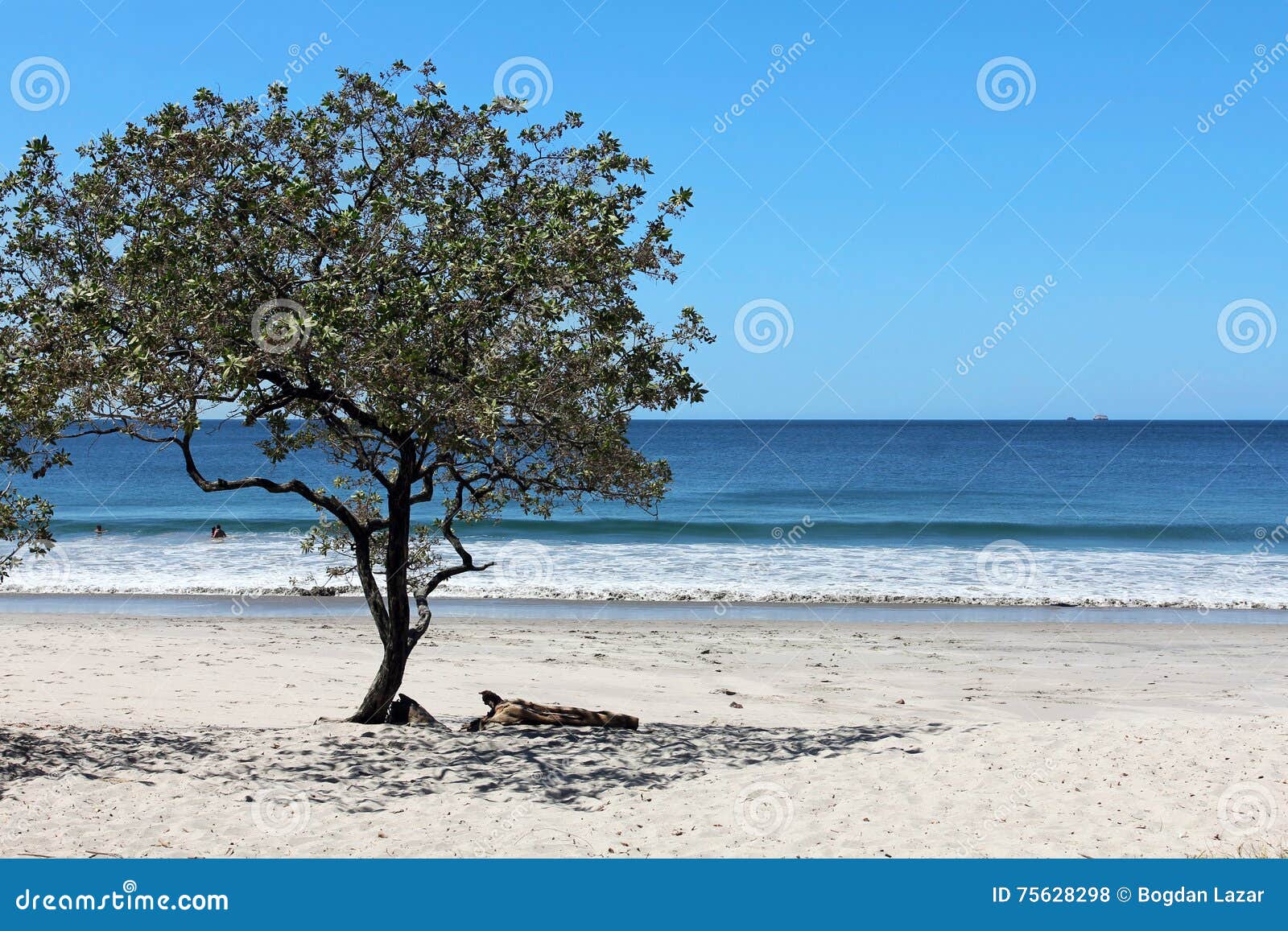 Playa Conchal, Costa Rica foto de archivo. Imagen de famoso - 75628298