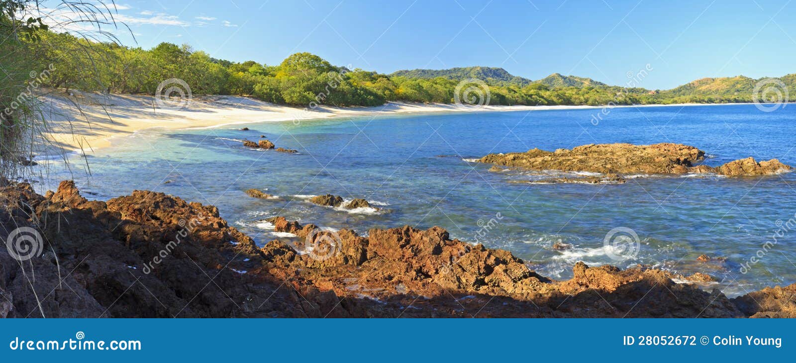 Playa Conchal Shells Background Royalty-Free Stock Image ...