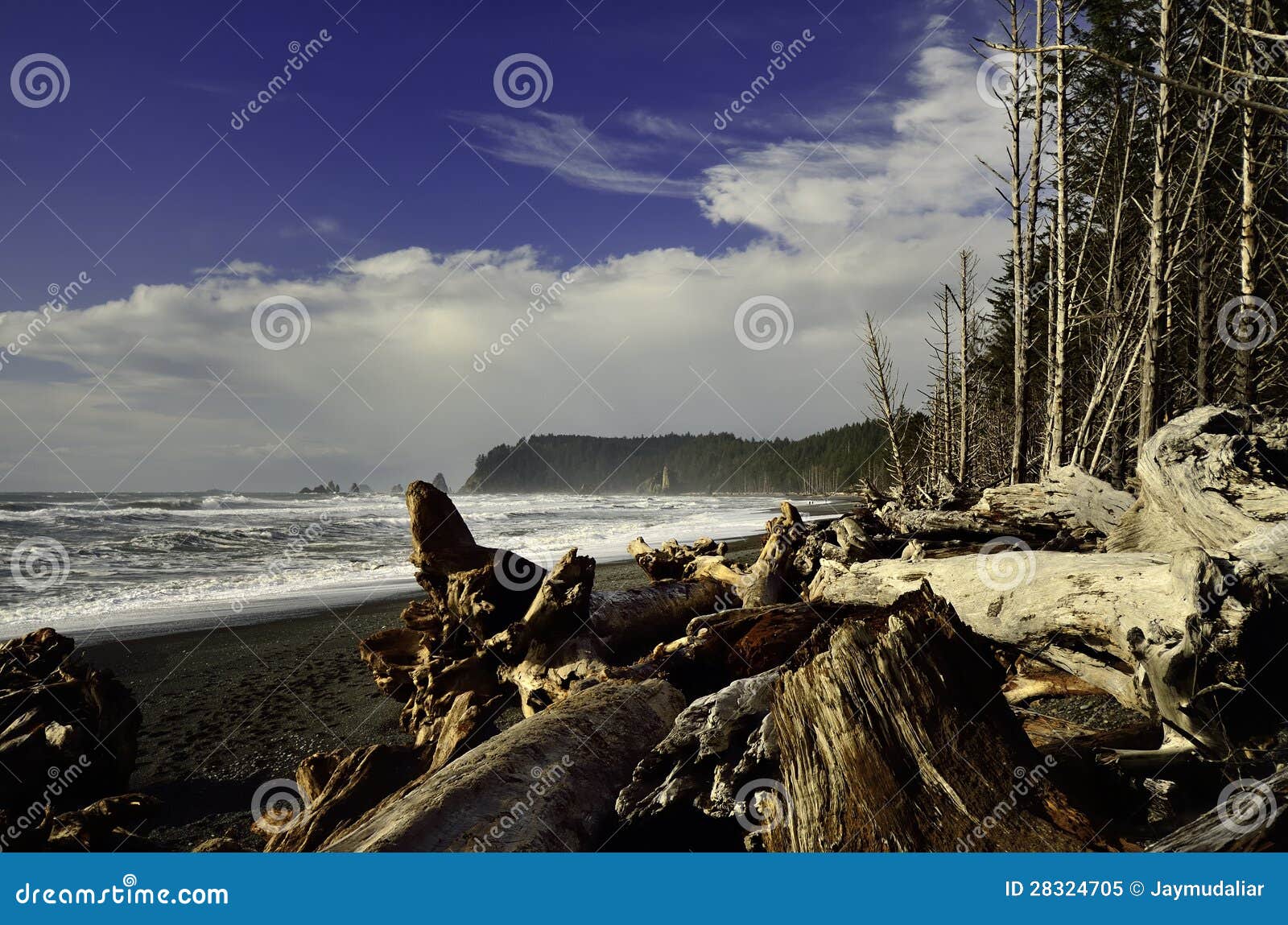 Playa Costera Del Noroeste Pacífica Imagen de archivo - Imagen de ...