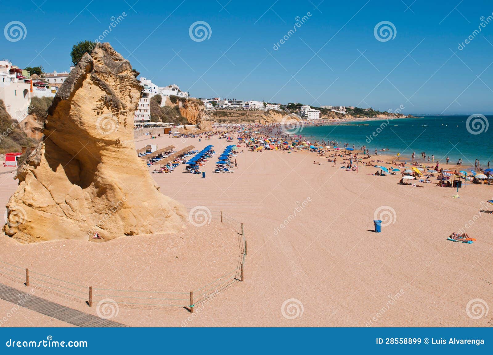 Playa De Albufeira En Algarve Imagen de archivo - Imagen de portugués ...