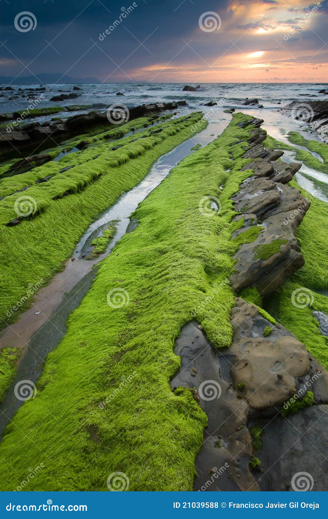 Playa de Barrika foto de archivo. Imagen de playa, perspectiva - 21039588
