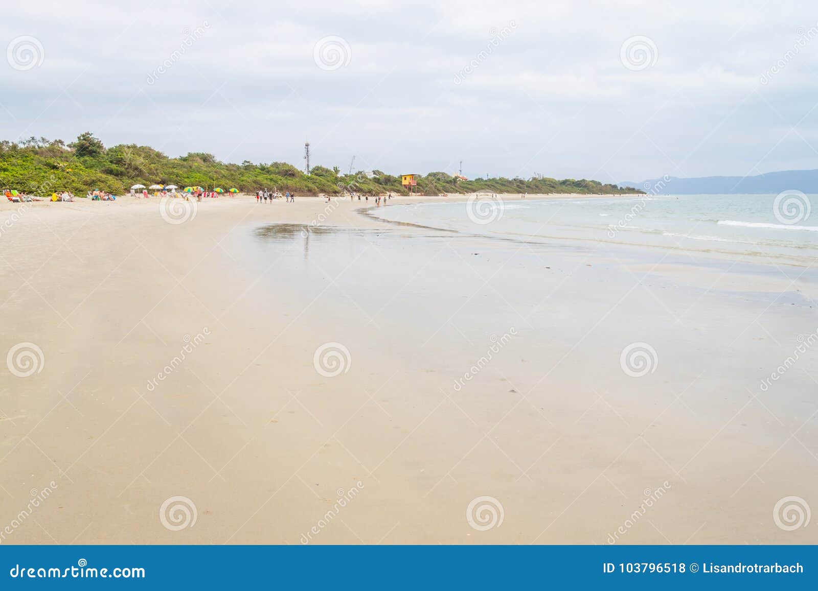 Playa de Daniela foto de archivo. Imagen de rastro, catalina - 103796518