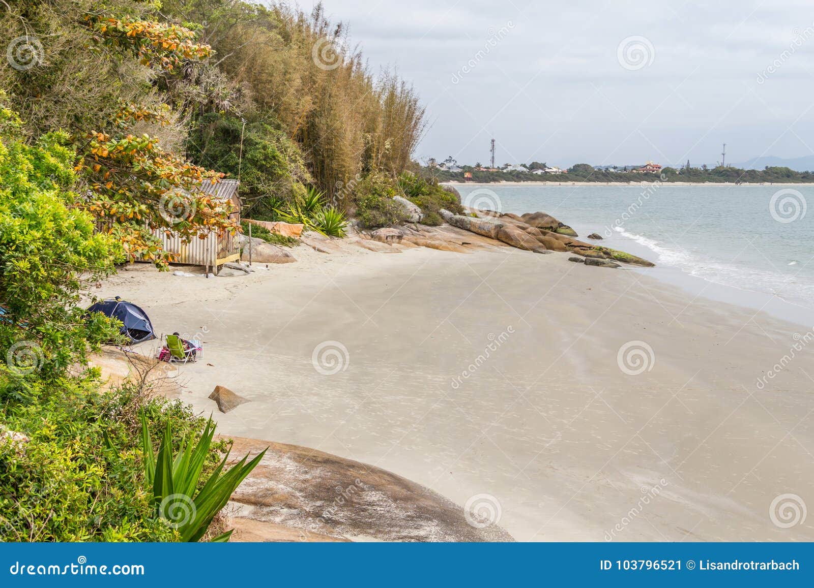Playa de Daniela imagen de archivo. Imagen de camino - 103796521
