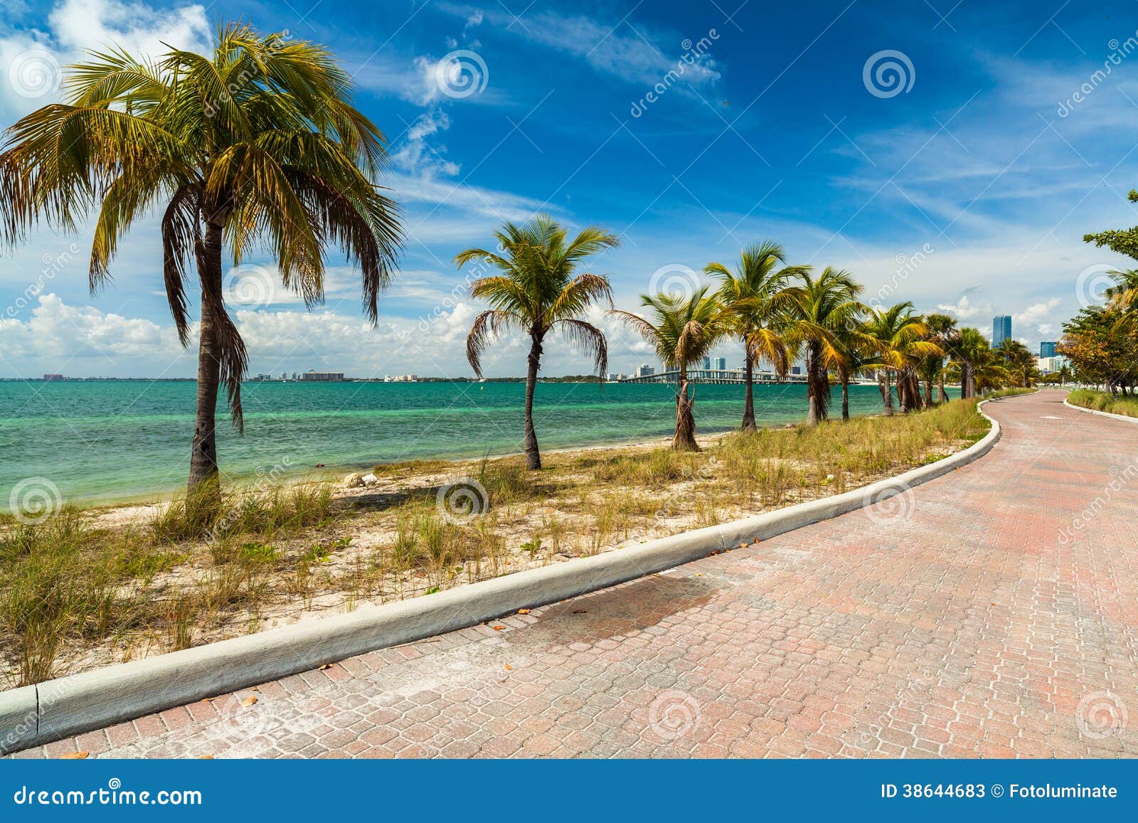 Playa de Key Biscayne imagen de archivo. Imagen de florida - 38644683