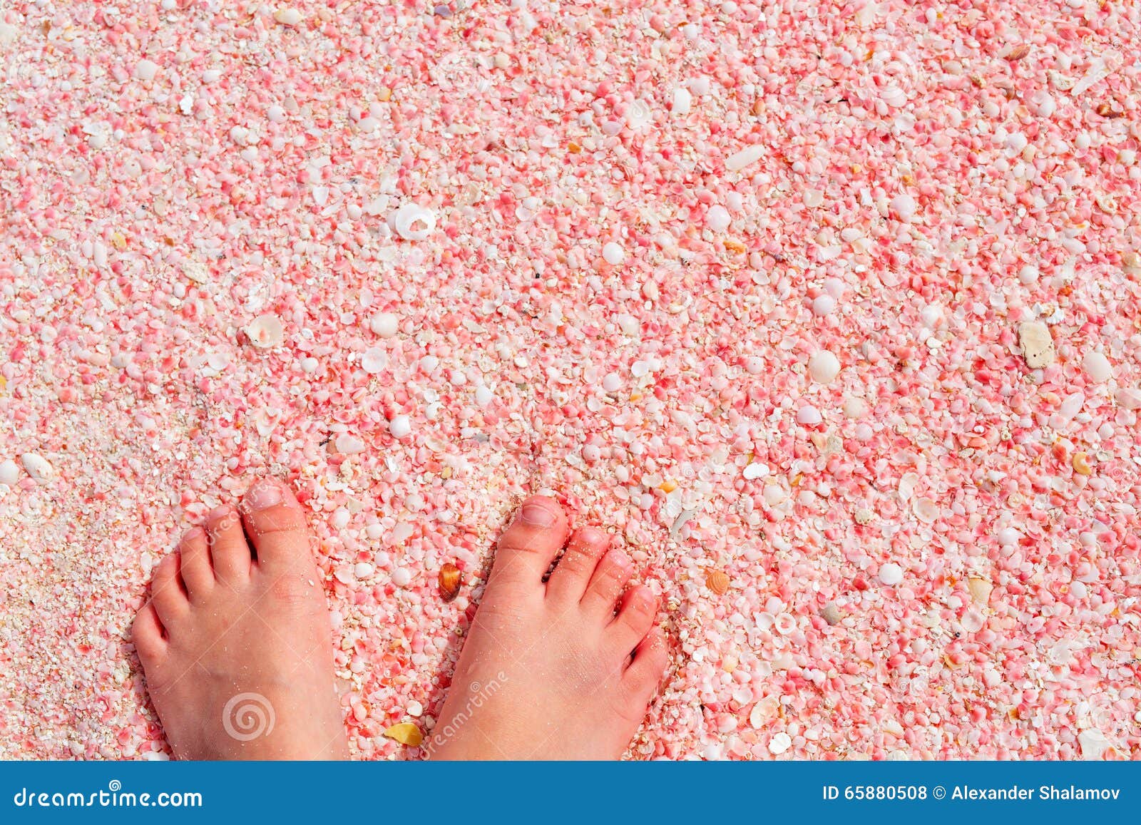 Playa De La Arena Del Rosa De Barbuda Foto de archivo - Imagen de ...