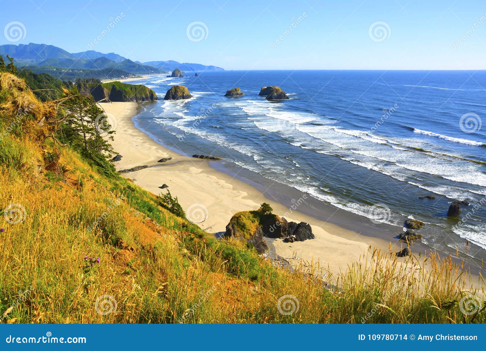 PLAYA DE LA COSTA COSTA DE OREGON Foto de archivo - Imagen de azul ...