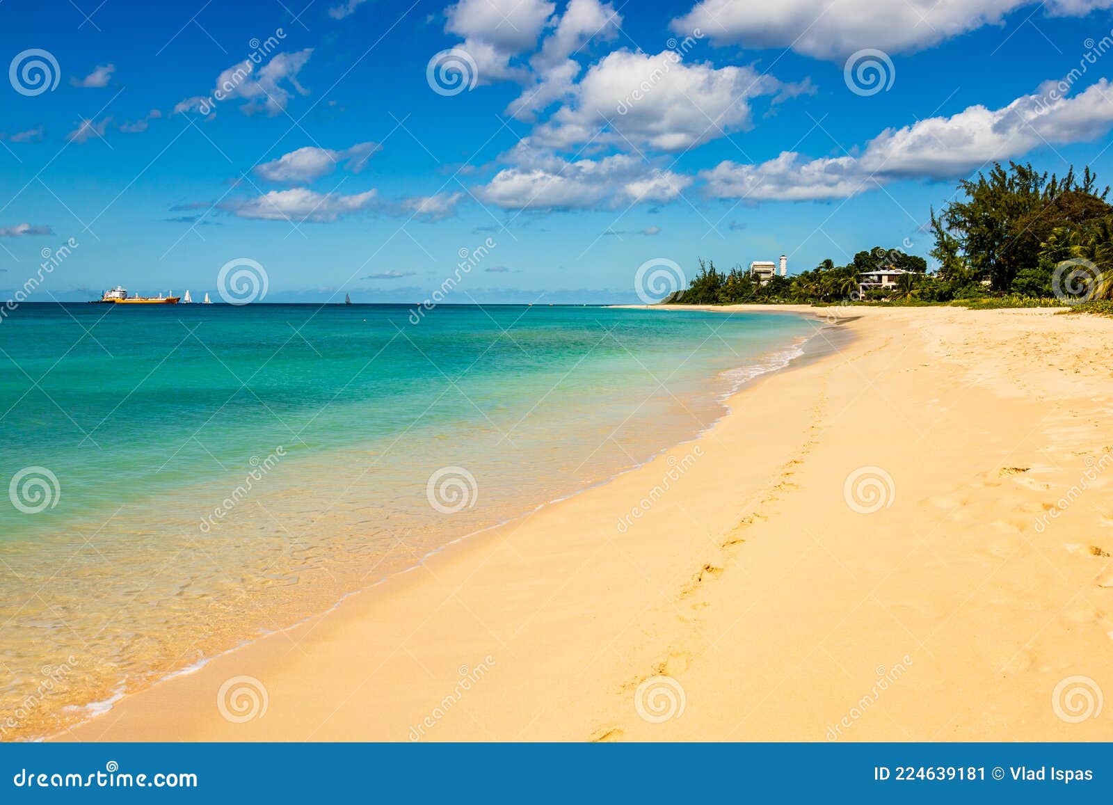 Playa De La Isla De Barbados Caribe Imagen de archivo - Imagen de ...