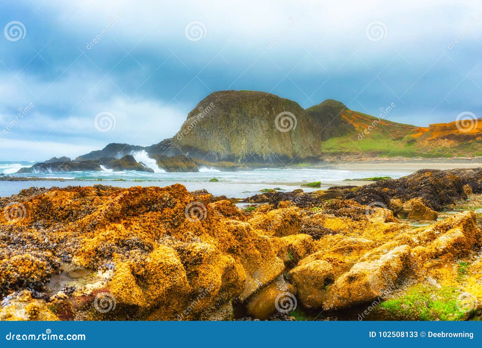 Playa de la roca del sello imagen de archivo. Imagen de costero - 102508133