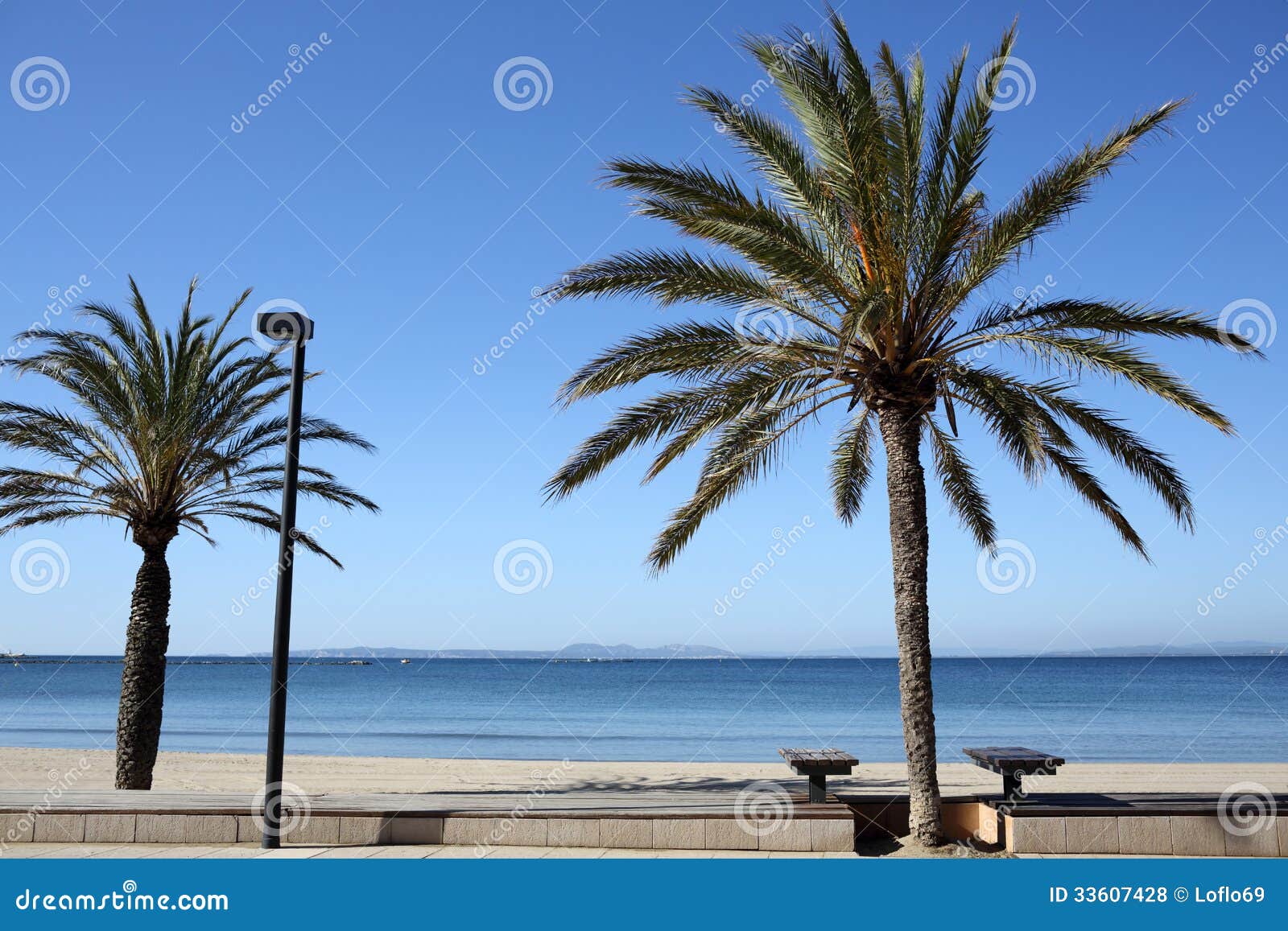 Playa de las rosas foto de archivo. Imagen de palma, apacible - 33607428