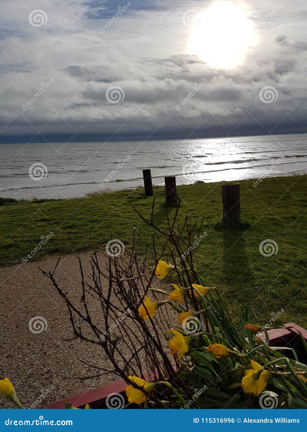 Playa de Laytown, Co Meath foto de archivo. Imagen de cielo - 115316996