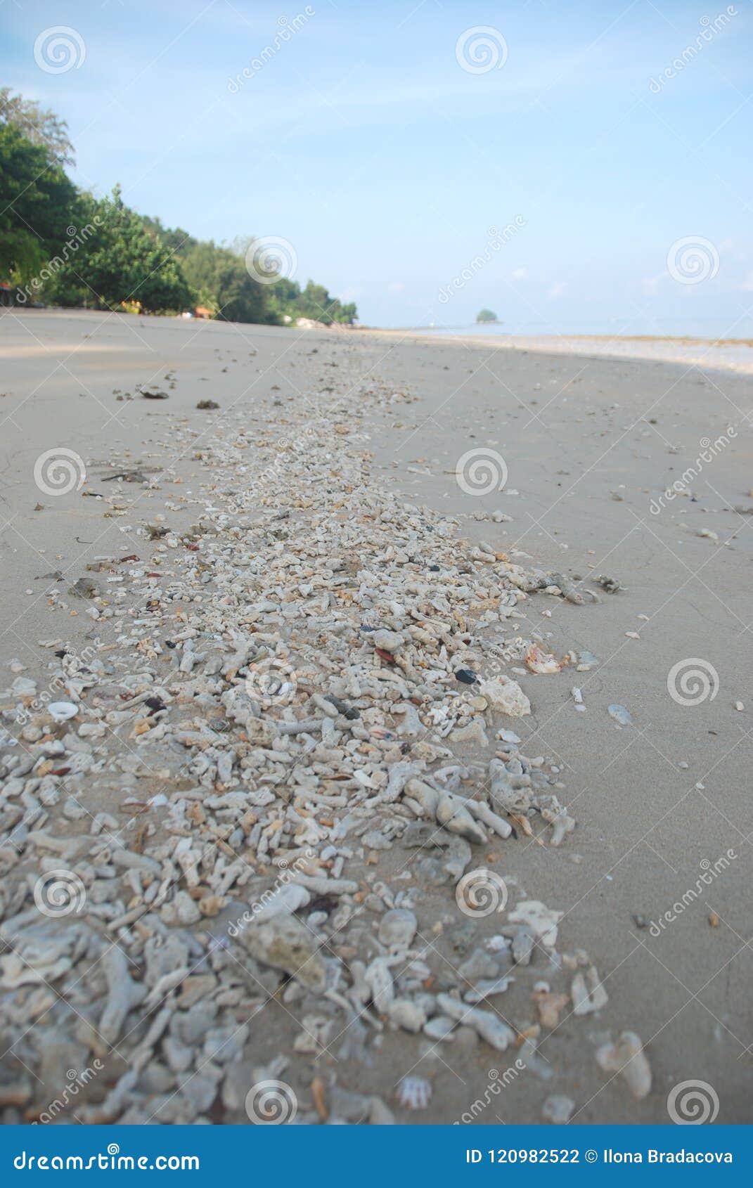 Playa De Tekek Con Los Corales Muertos Foto de archivo - Imagen de ...