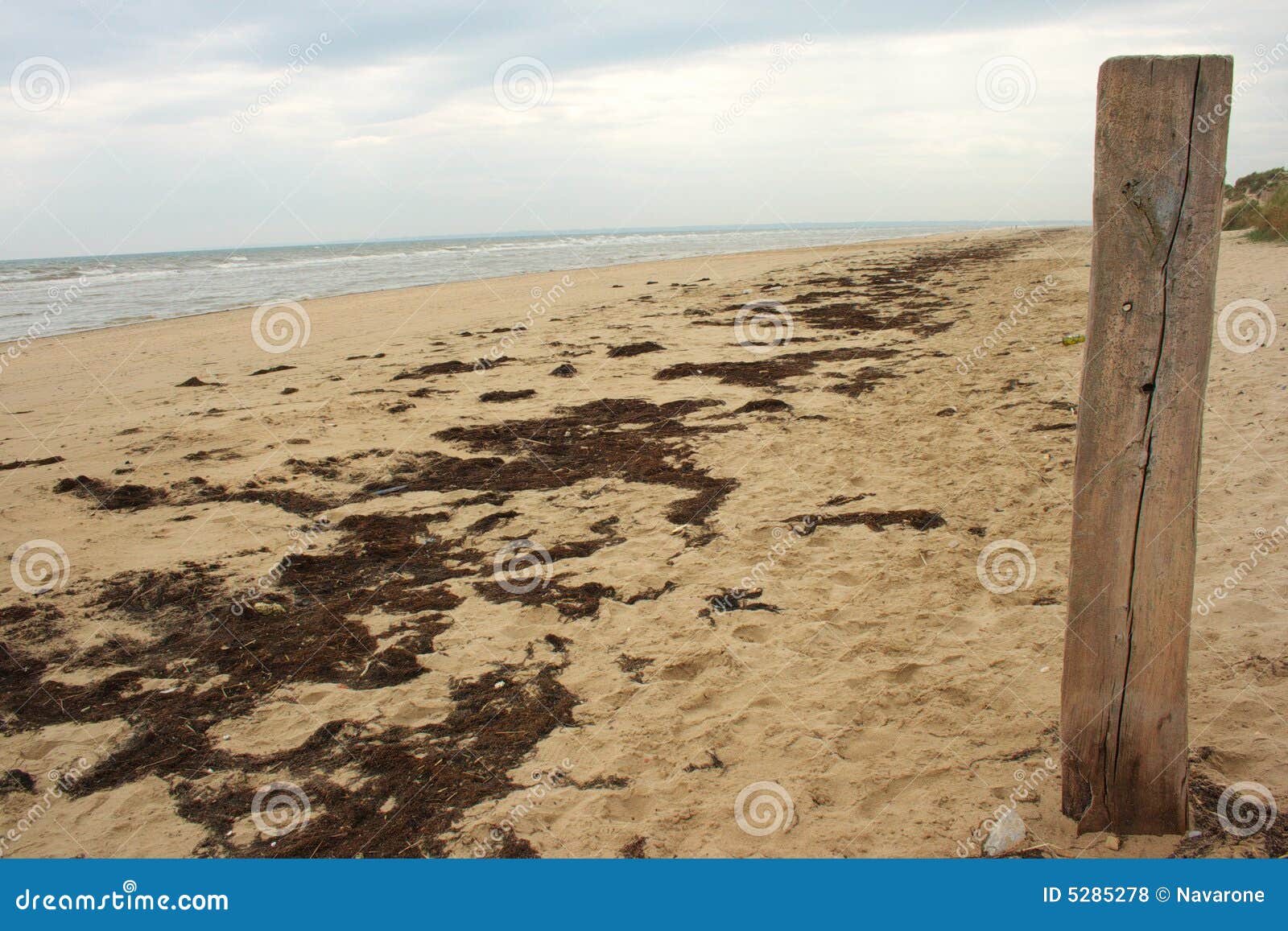 Playa de Utah, Normandía foto de archivo. Imagen de recorrido - 5285278