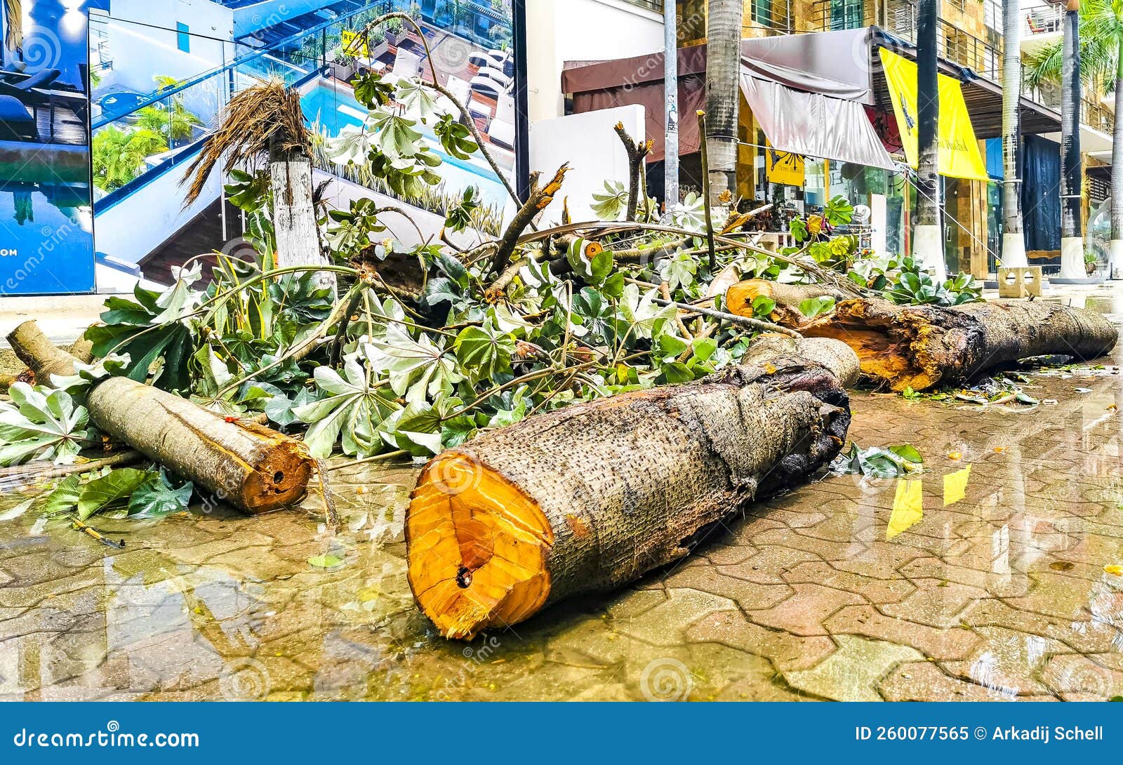 Hurricane 2021 Playa Del Carmen Mexico Destruction Devastation Broken ...
