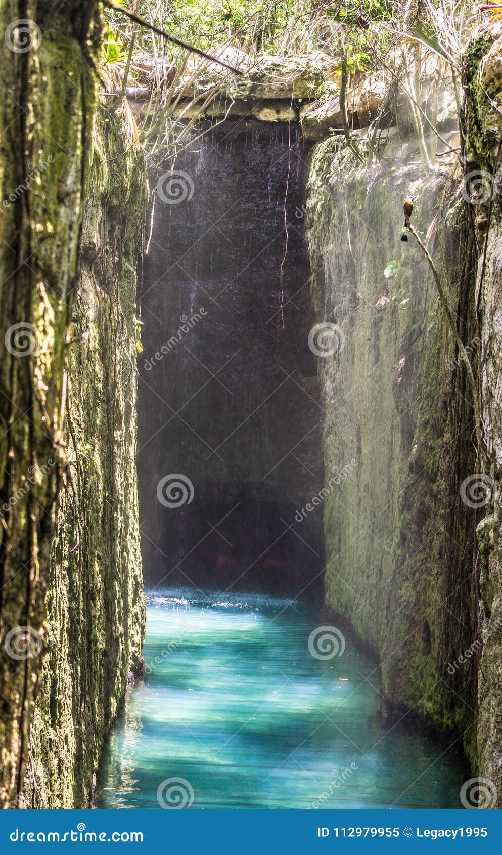 Underground River in Mexico Editorial Image - Image of landscape ...