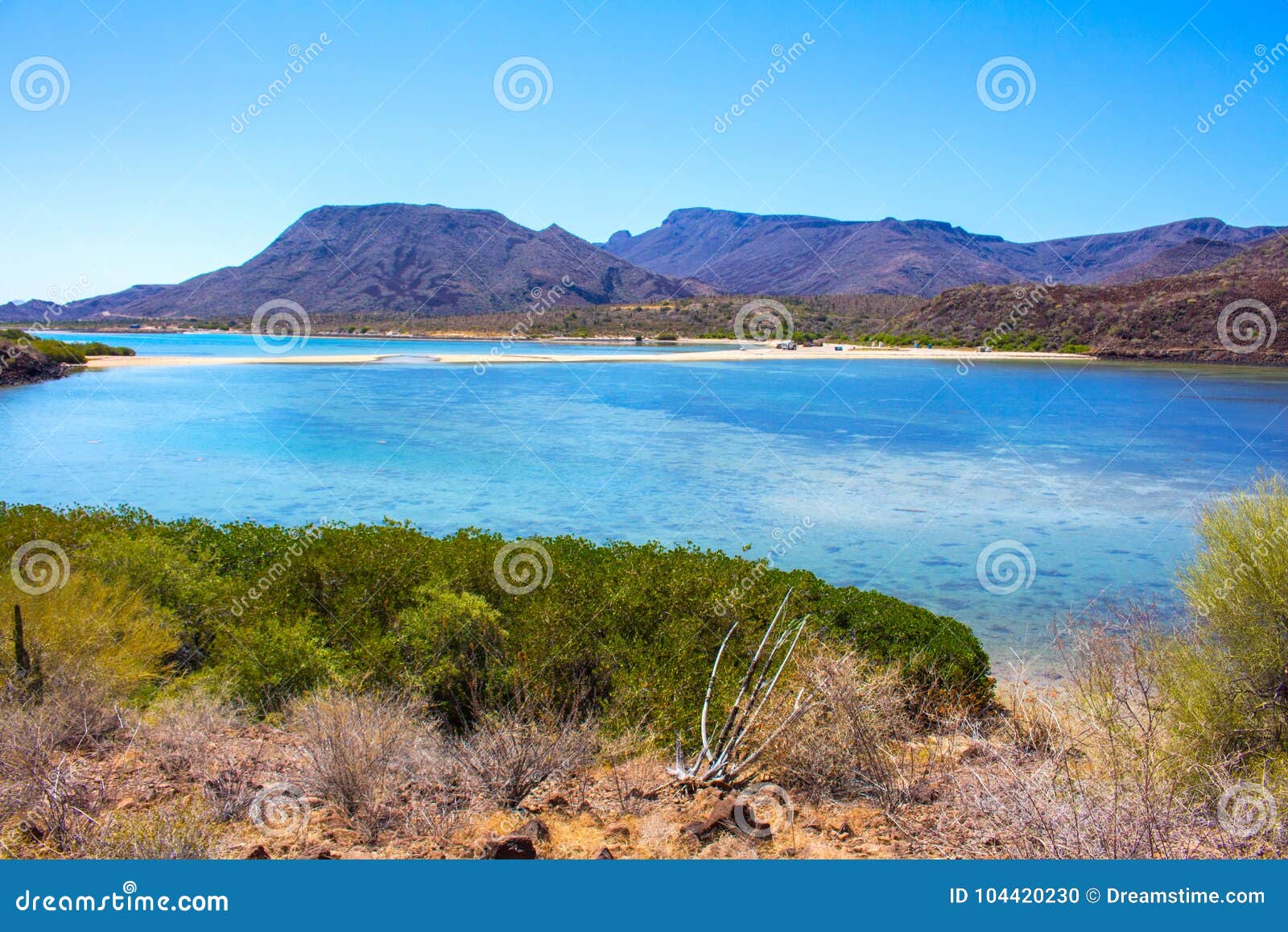 Playa Del EL Requeson, Mulege Foto de archivo - Imagen de cristalino ...