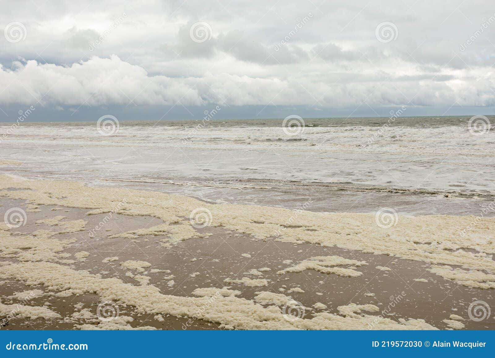 Playa Del Manche Llena De Musgo Blanco Foto de archivo - Imagen de ...