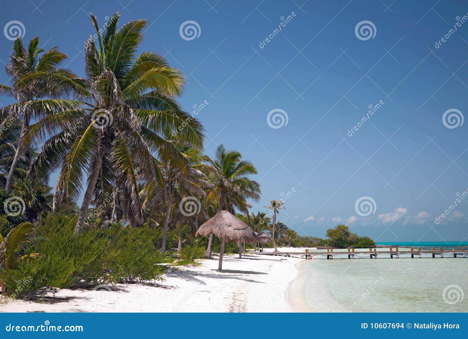 Playa en el Isla Contoy foto de archivo. Imagen de viaje - 10607694