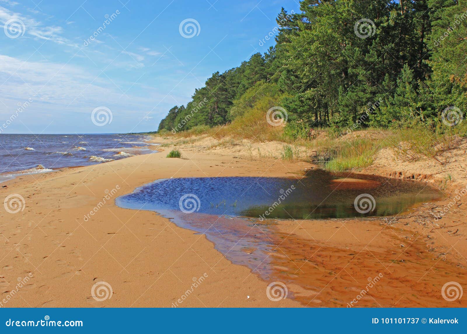 Playa en el lago Peipsi imagen de archivo. Imagen de bosque - 101101737