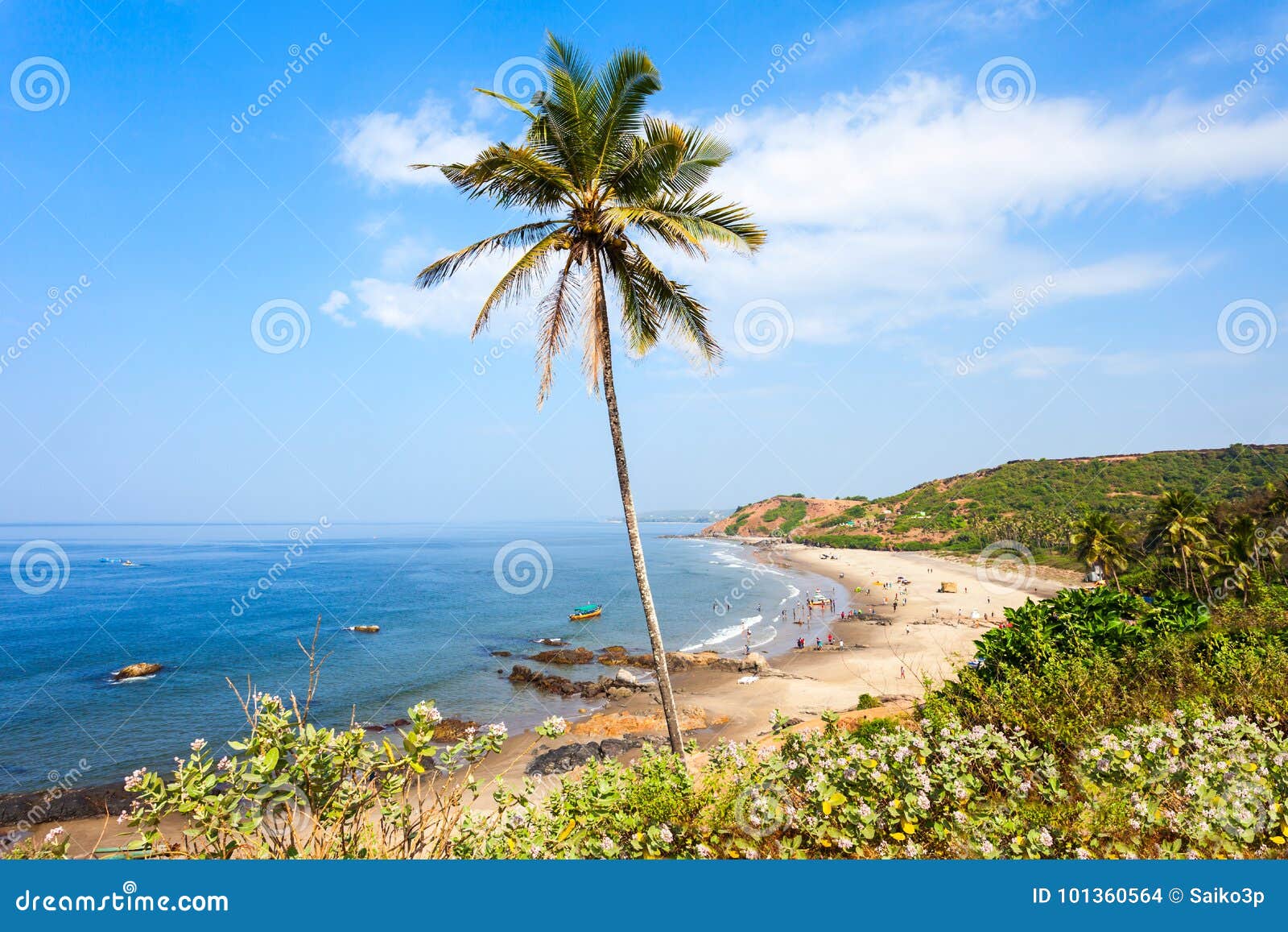 Playa en Goa, la India foto de archivo. Imagen de cielo - 101360564