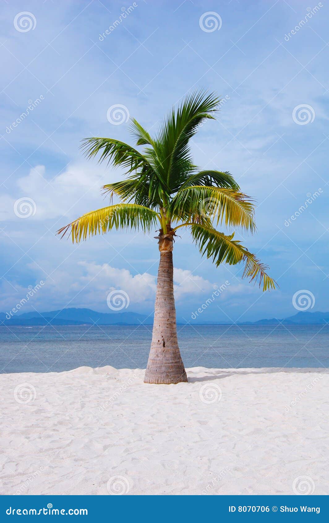 Playa Hermosa Con Una Palma Foto de archivo - Imagen de palma, playa ...