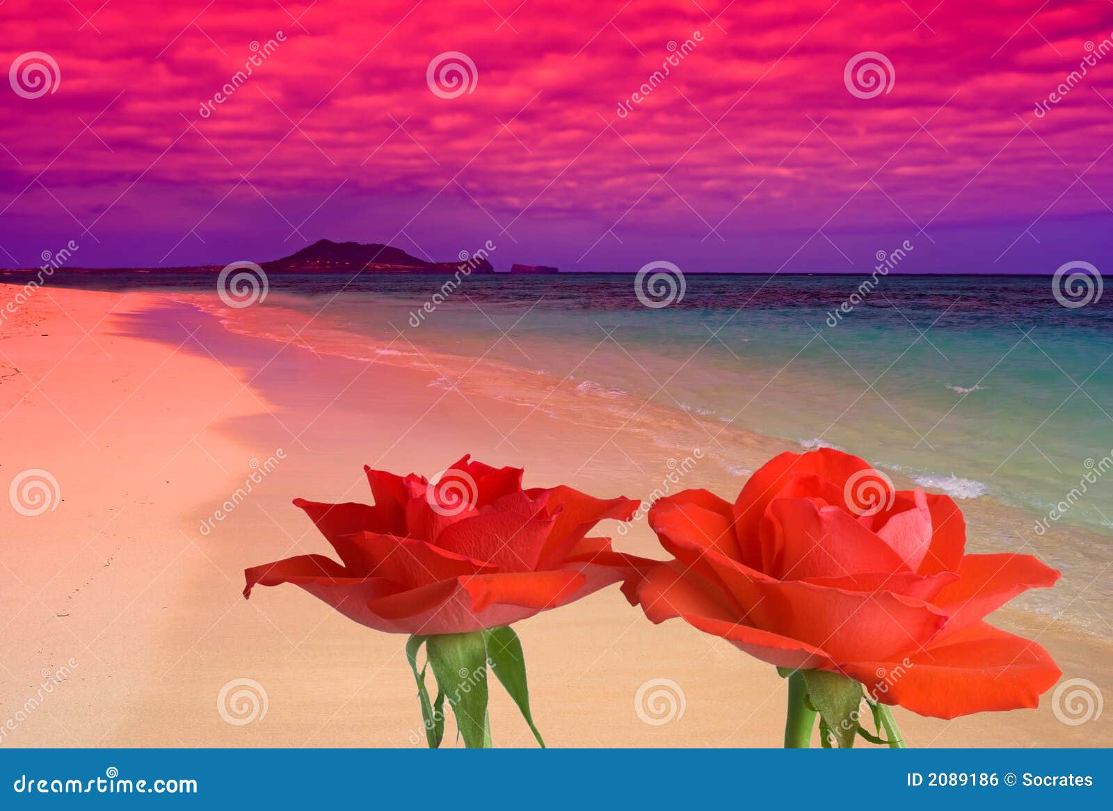 Playa Ideal - Con Las Rosas Foto de archivo - Imagen de hawai, fondo ...