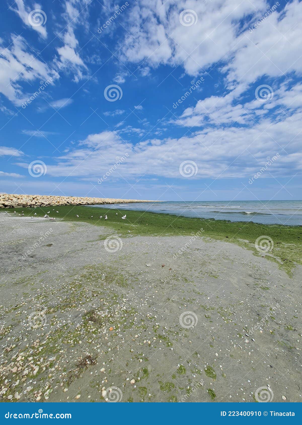 Playa Navodari Mar Negro Constanta Romania Foto de archivo - Imagen de ...