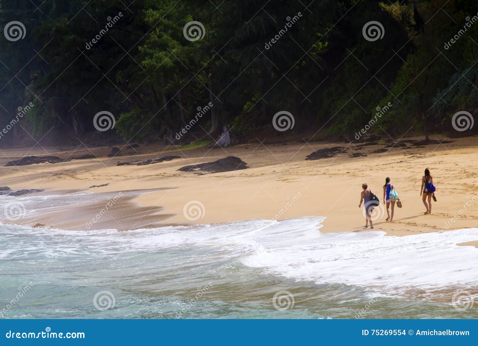 Playa Secreta, Kauai, Hawaii Foto de archivo - Imagen de chapoteo ...