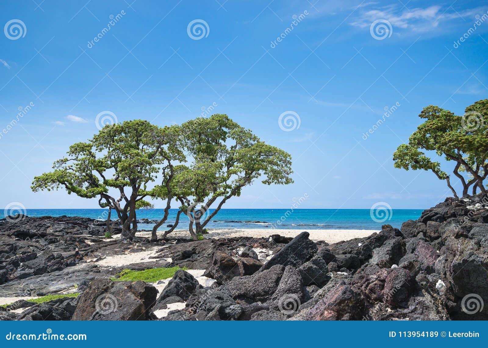 Playa Tropical Con Las Rocas De La Lava Imagen de archivo - Imagen de ...
